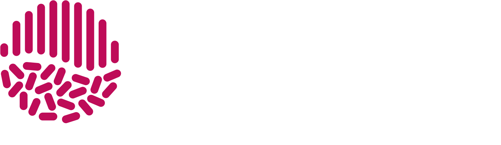 Logo und Nutzung der BASEG Werbeproduktion
